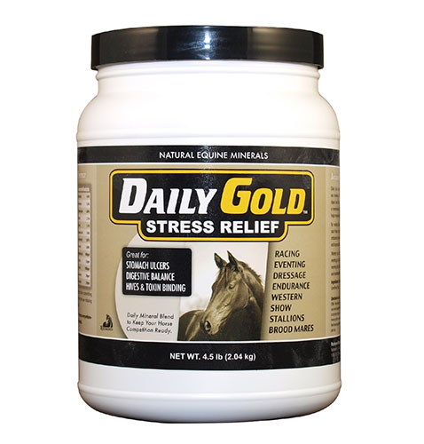 Daily Gold - Global Endurance Training Center